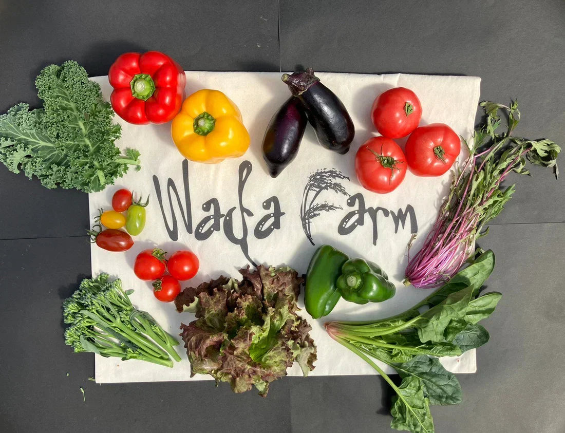 WADA FARM – C Side Marche